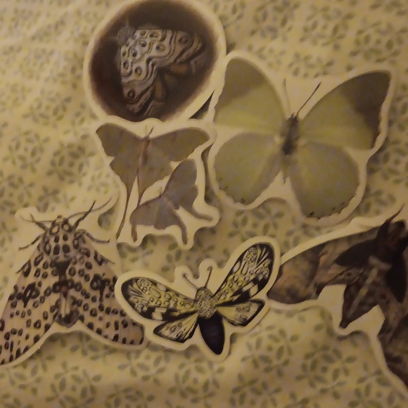 Other | Nwot Black And White Moths Stickers Set | Poshmark